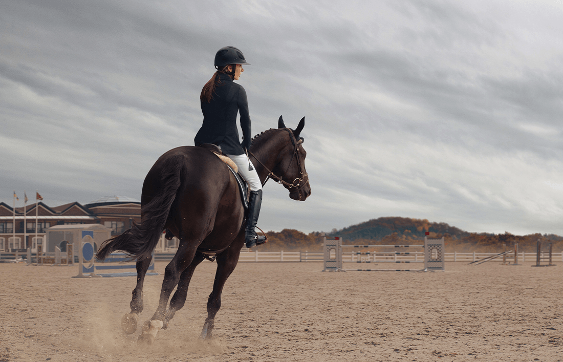 Cuidados que debe tener mi caballo en competición | Blog ...