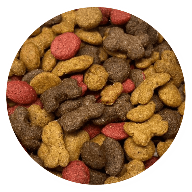 Alimentos para Mascotas Albapesa | Nutrición Premium para Perros y ...