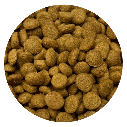 Alimentos para Mascotas Albapesa | Nutrición Premium para Perros y ...