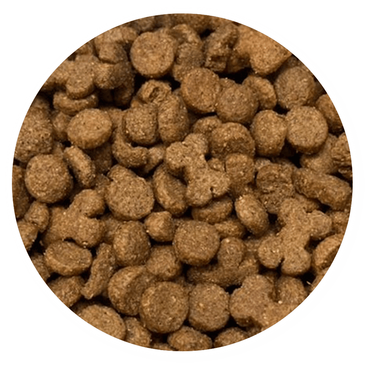 Alimentos para Mascotas Albapesa | Nutrición Premium para Perros y ...